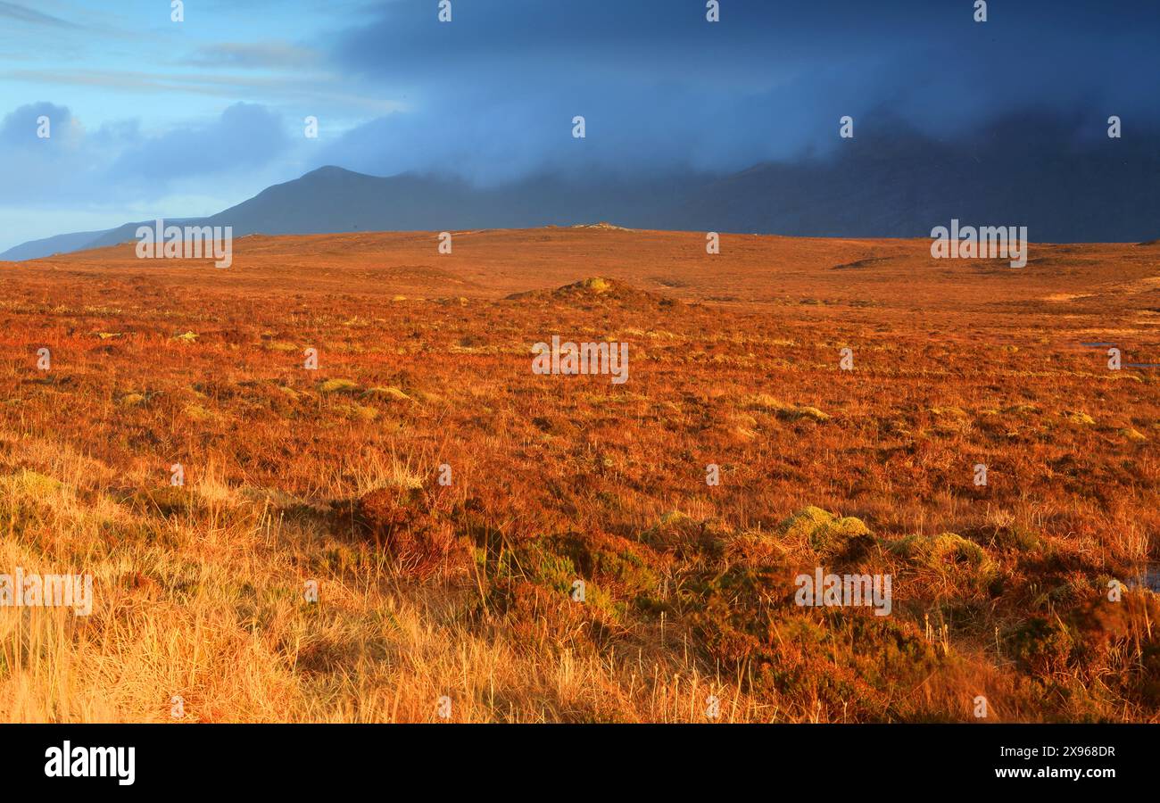 Moorland and mountains of northern Sutherland in winter, Highlands ...