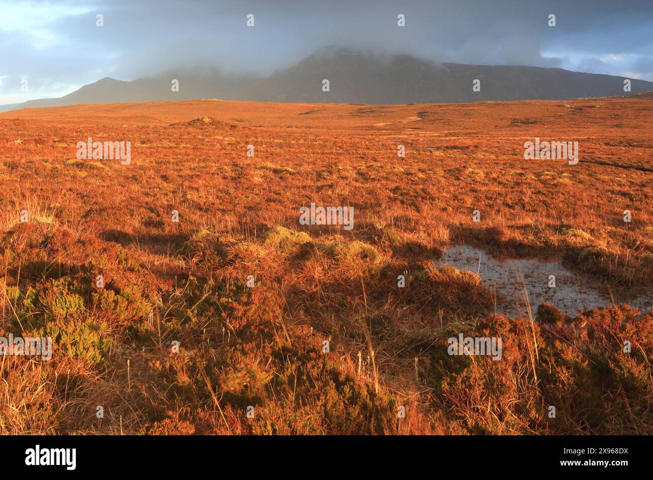 Moorland and mountains of northern Sutherland in winter, Highlands ...