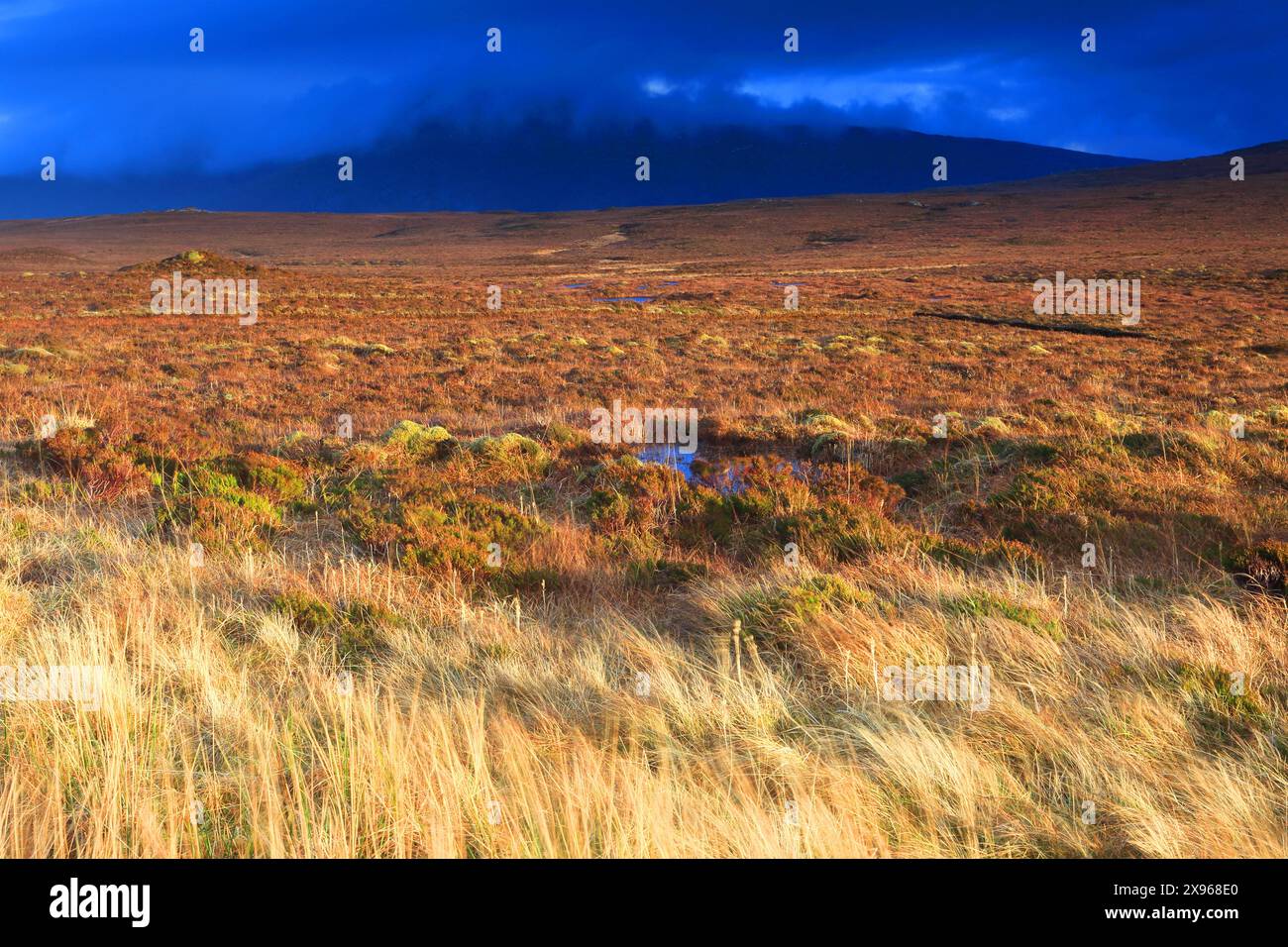 Moorland and mountains of northern Sutherland in winter, Highlands ...