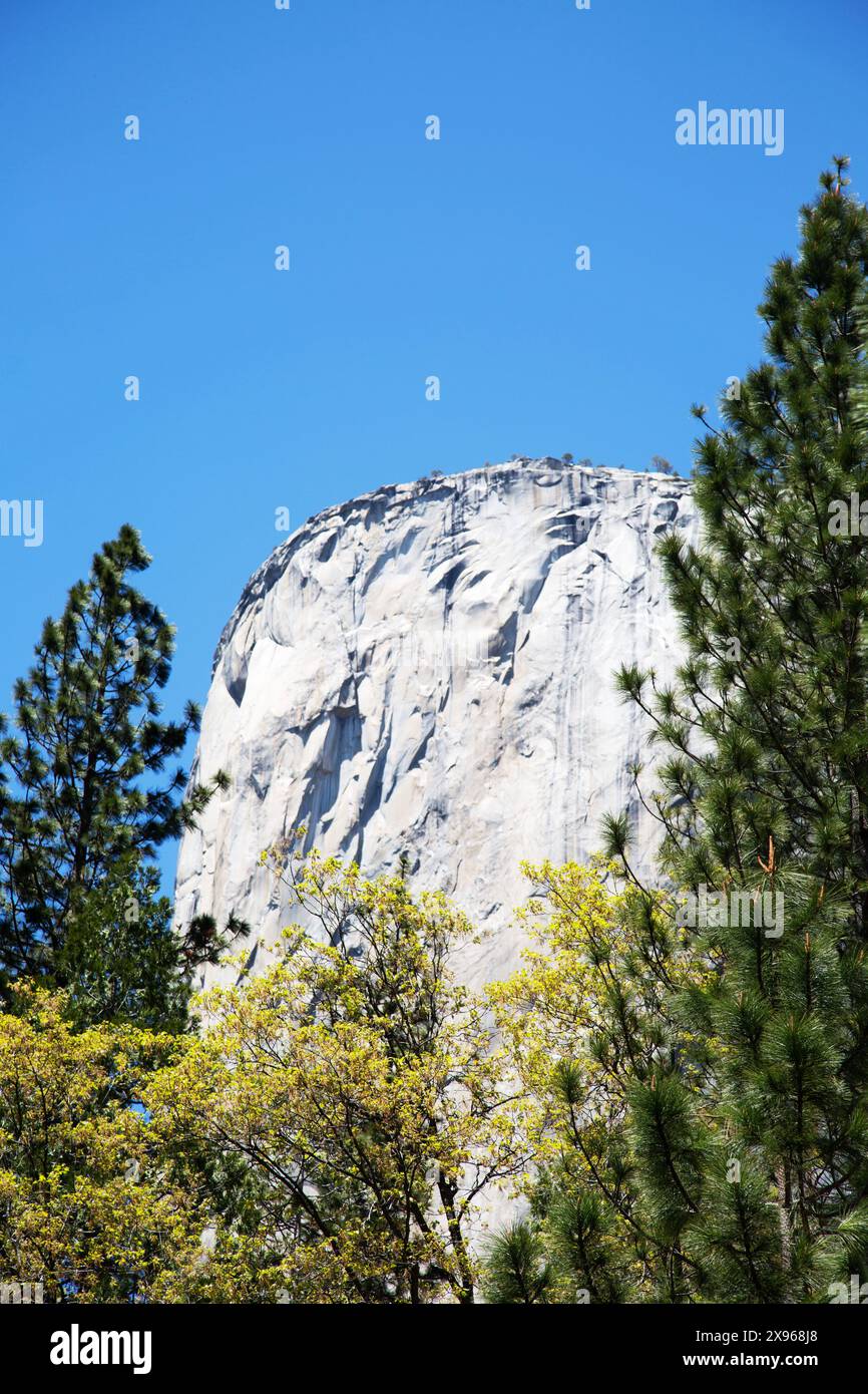 El Capitan, a 3,000 feet vertical rock formation in Yosemite National ...