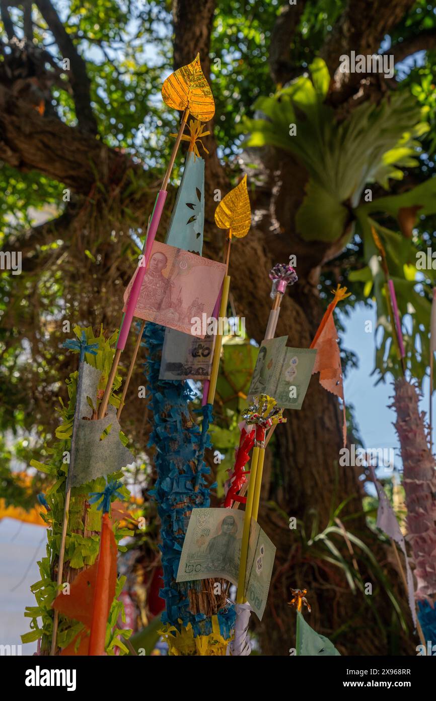 Money donations in tree at Wat Ket Karam Buddhist temple in Chiang Mai ...
