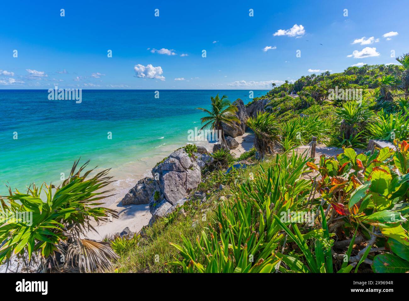 View of coastline overlooking the sea, Tulum, Quintana Roo, Caribbean ...