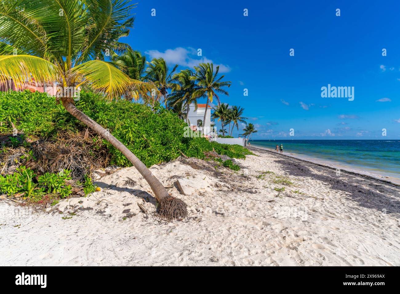 View of palm trees and hotel on beach at Puerto Morelos, Caribbean ...