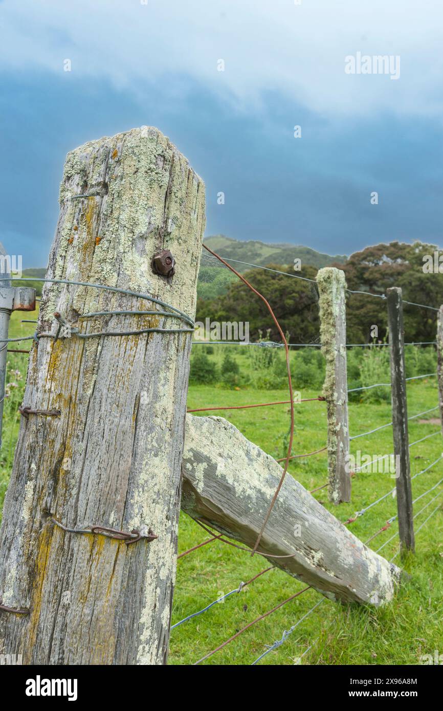 Rustic old post and strainer with fence leading away on New Zealand ...