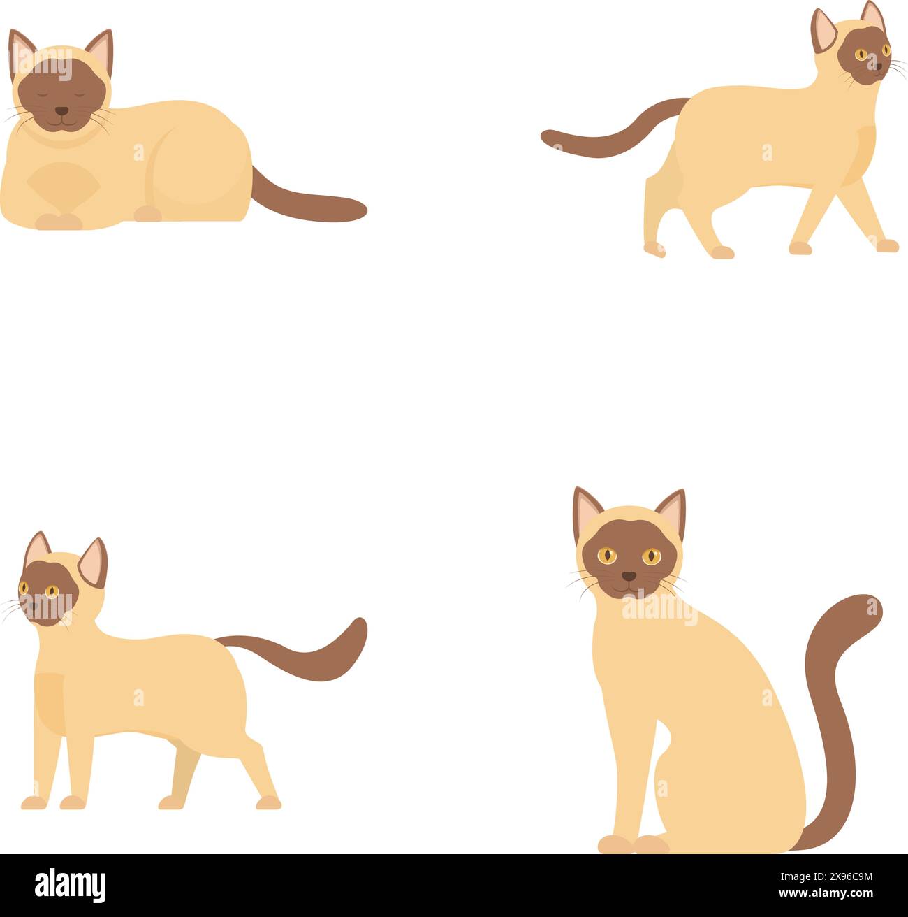 Collection of four cute siamese cat vector illustrations, each ...