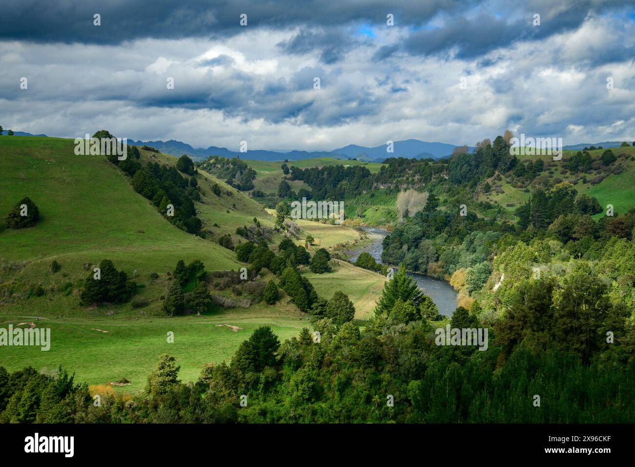 New Zealand, North Island,Manunui, Piriaka Lookout Stock Photo - Alamy