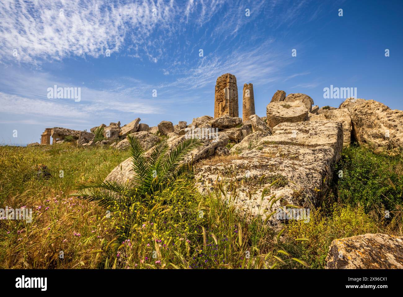 The ruins of the ancient Greek Temple G at Selinunte, Sicily Stock ...