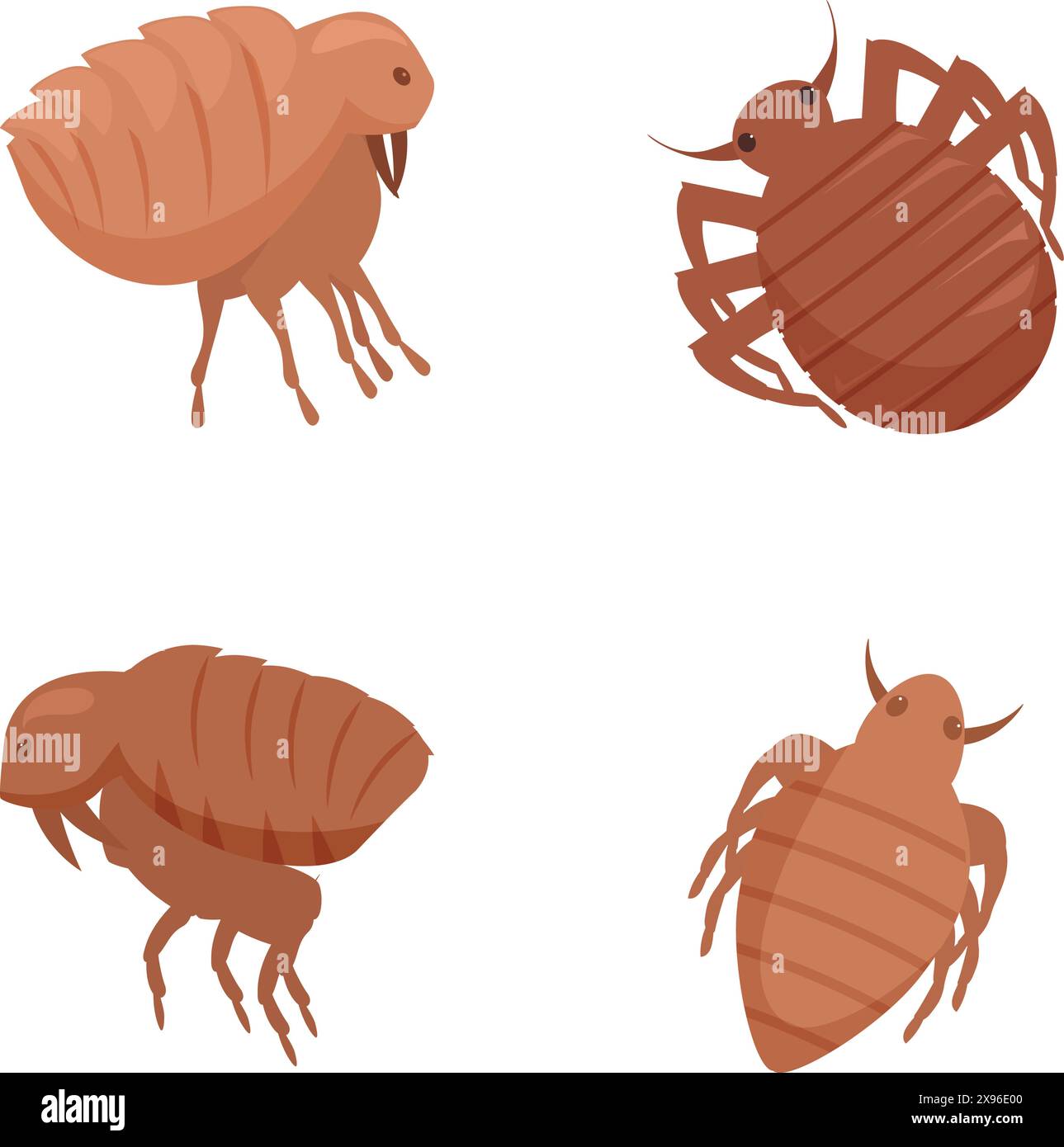 Vector illustrations of cute bed bugs in various poses, isolated on ...