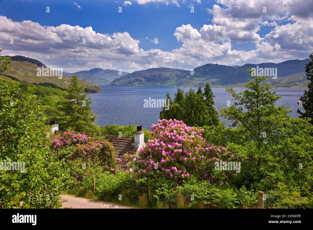 Loch morar springtime hi-res stock photography and images - Alamy
