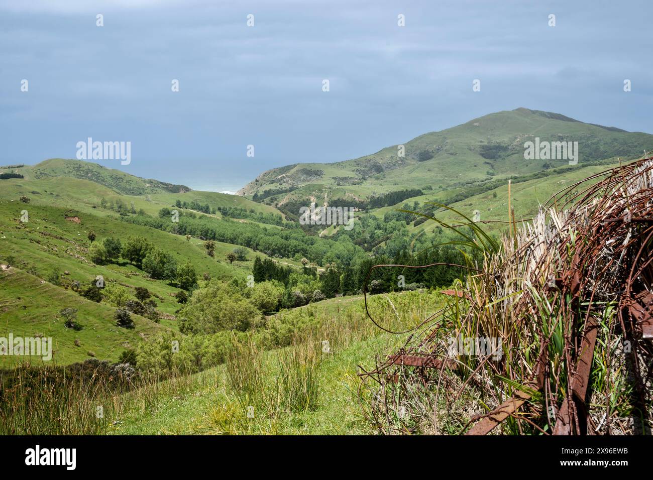 Green fields on typical New Zealand hill country farm Stock Photo - Alamy