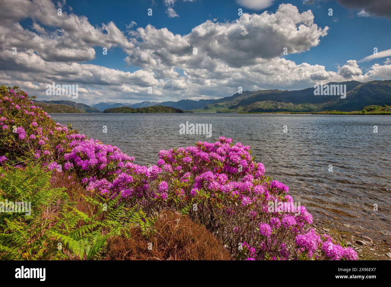 Loch morar spring hi-res stock photography and images - Alamy