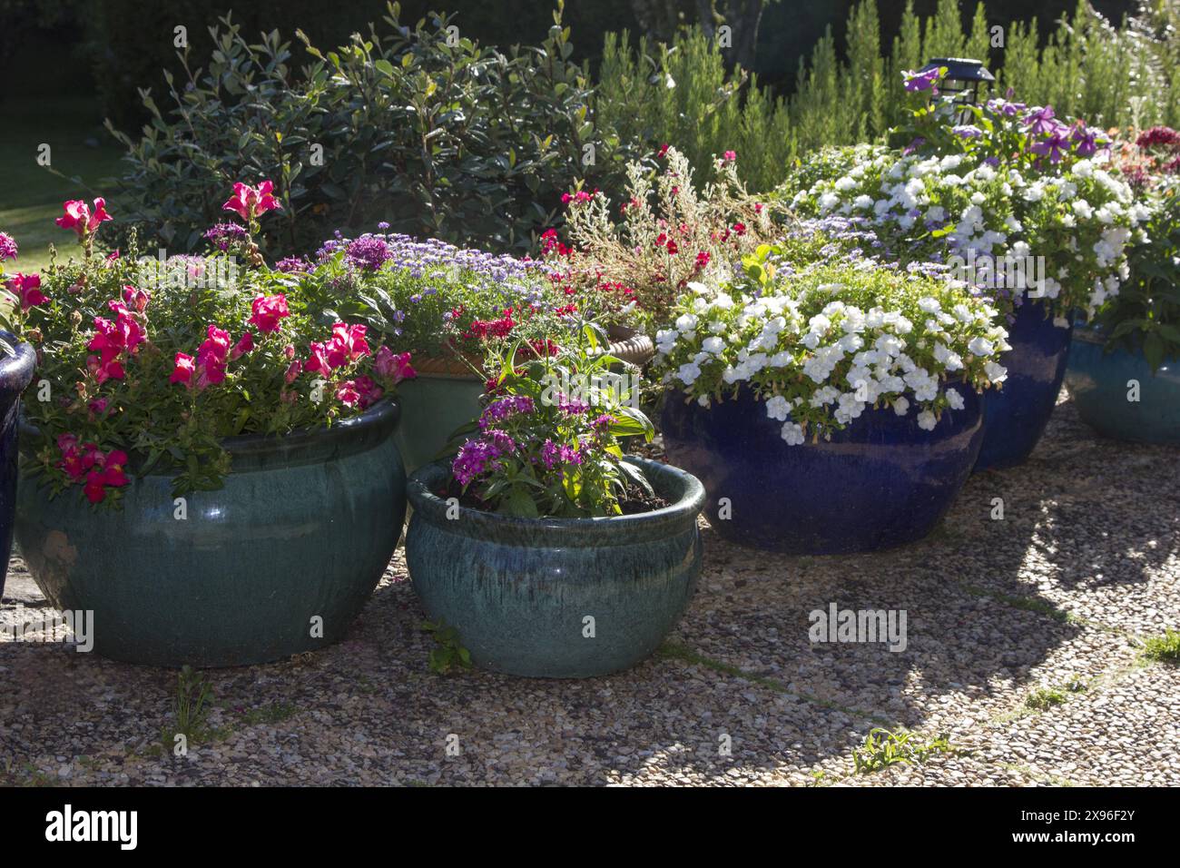 Pots of colourful flowers Stock Photo - Alamy