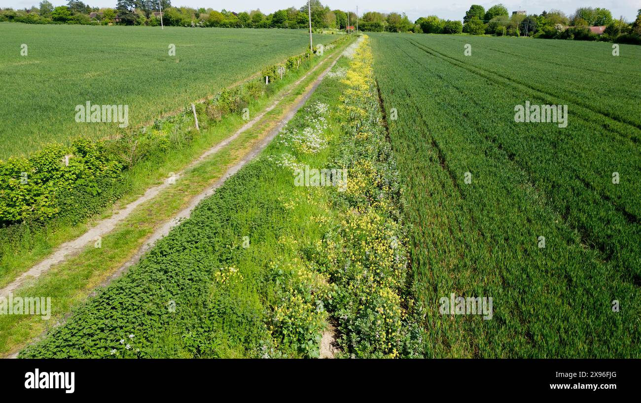 Aerial view of Arable Margins between fields on farmland near the ...