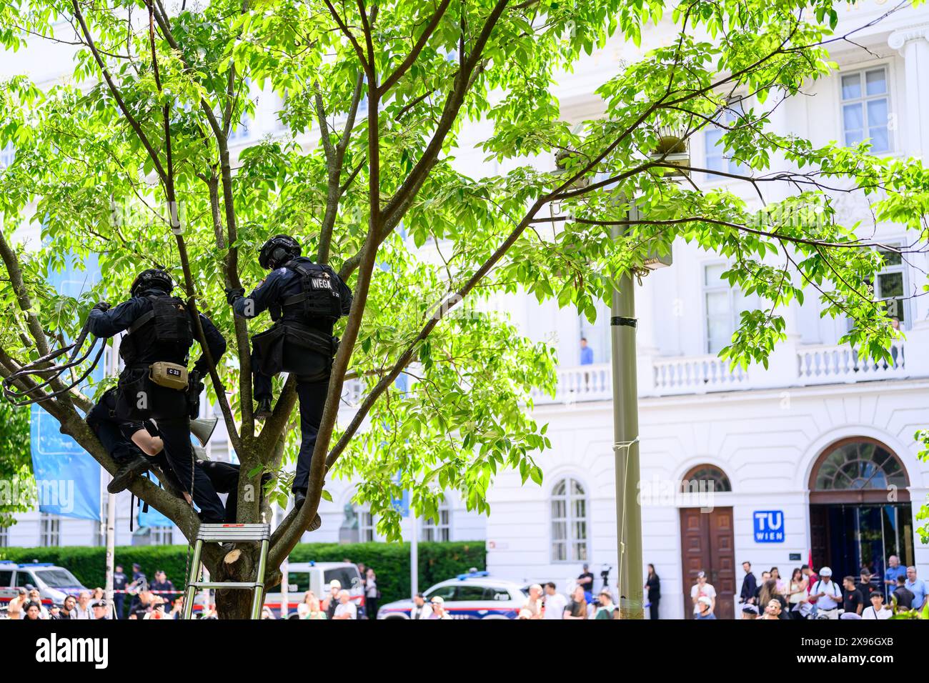 29.05.2024, Wien, AUT, Polizei löst ein neues Palästina Camp vor der TU ...