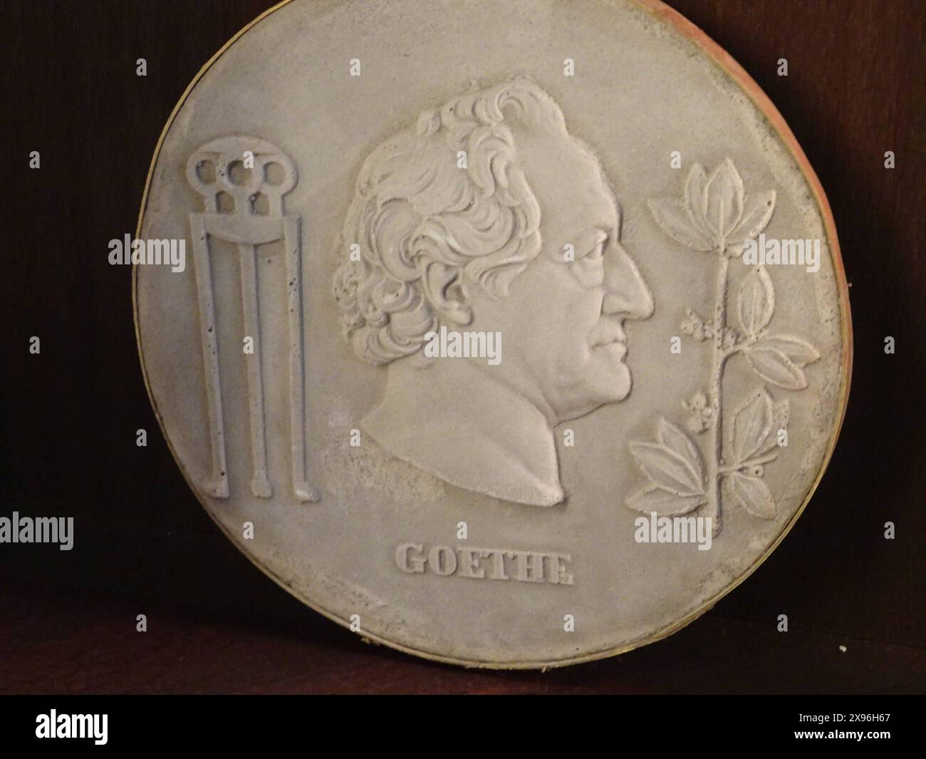 Johann Wolfgang von Goethe, Medaillen, Rollett Museum, ältestes Museum ...