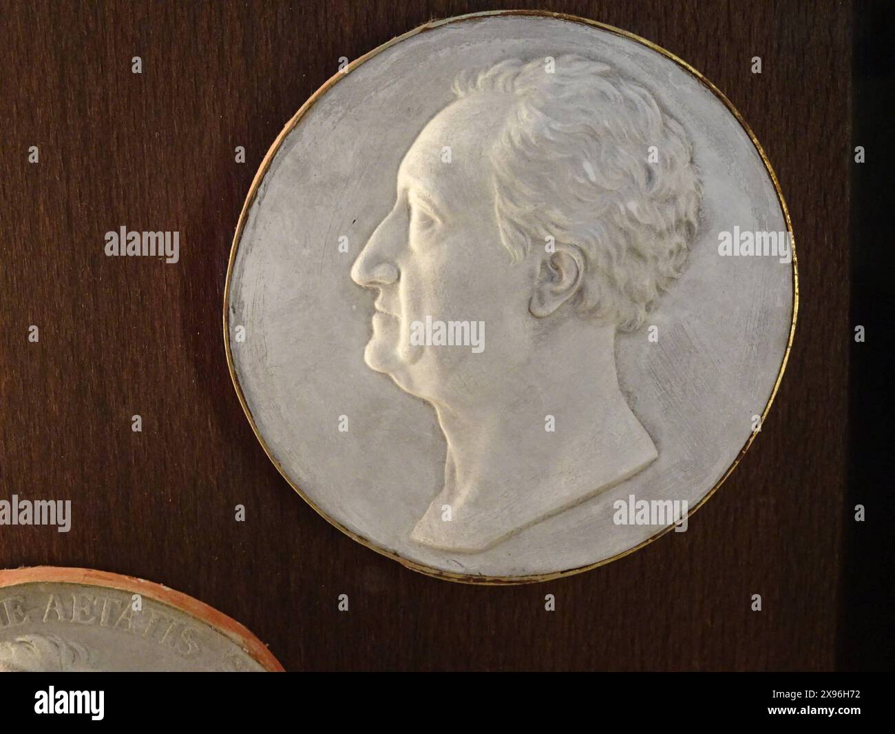 Johann Wolfgang von Goethe, Medaillen, Rollett Museum, ältestes Museum ...