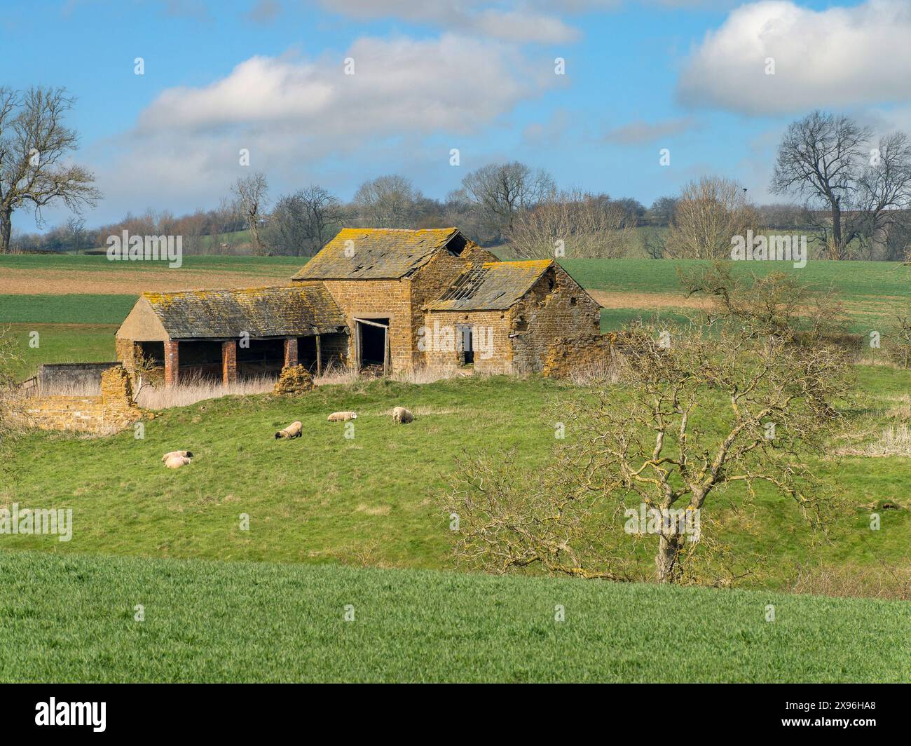 Old ruined red brick farm barn with damaged slate roof with holes and ...