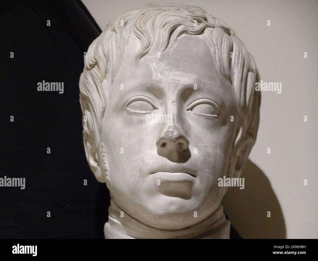 Kronprinz Ferdinand, Büste, Rollett Museum, ältestes Museum ...