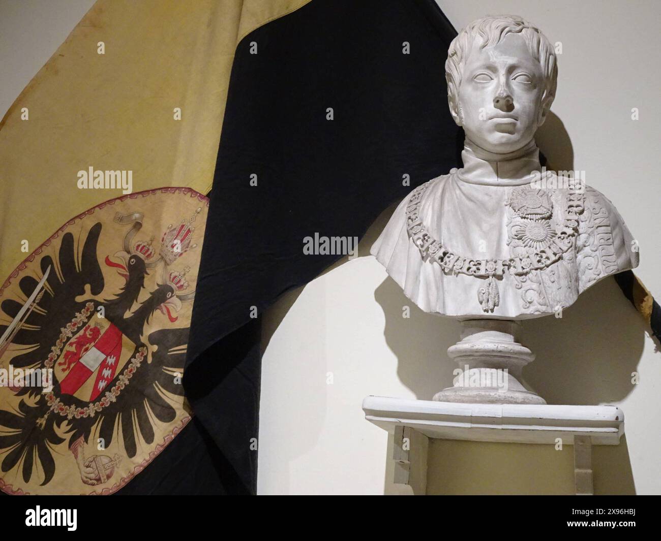 Kronprinz Ferdinand, Büste, Rollett Museum, ältestes Museum ...
