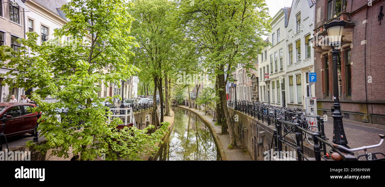 Dutch urban street scene development. Holland typical city lifestyle ...