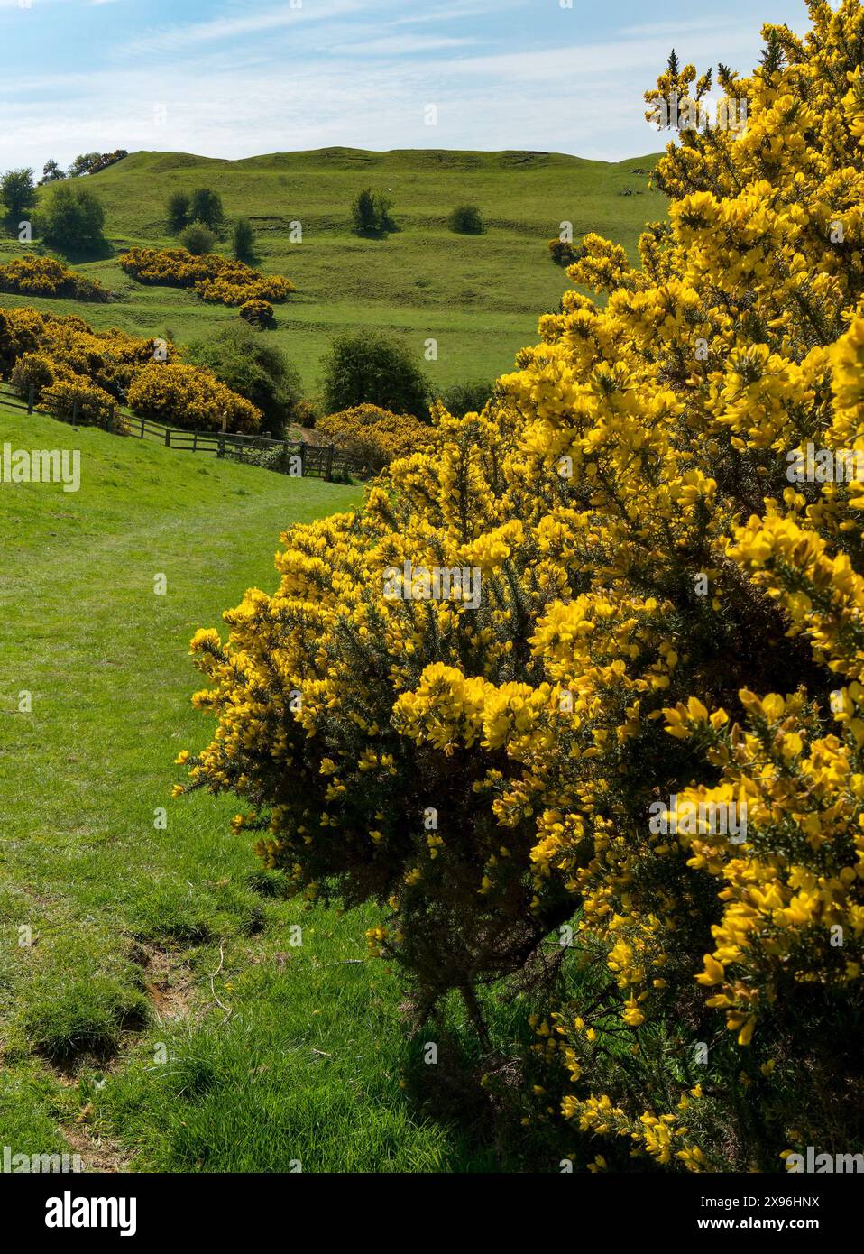 Burrough hill ramparts hi-res stock photography and images - Alamy