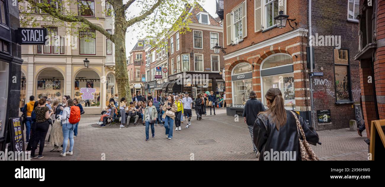 Dutch urban street scene development. Holland typical city lifestyle ...