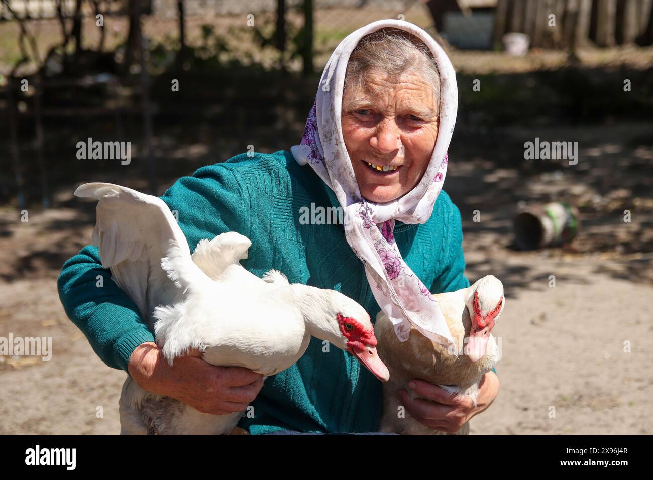 Senior woman, love for animals, serene nature scene, joyful and content ...