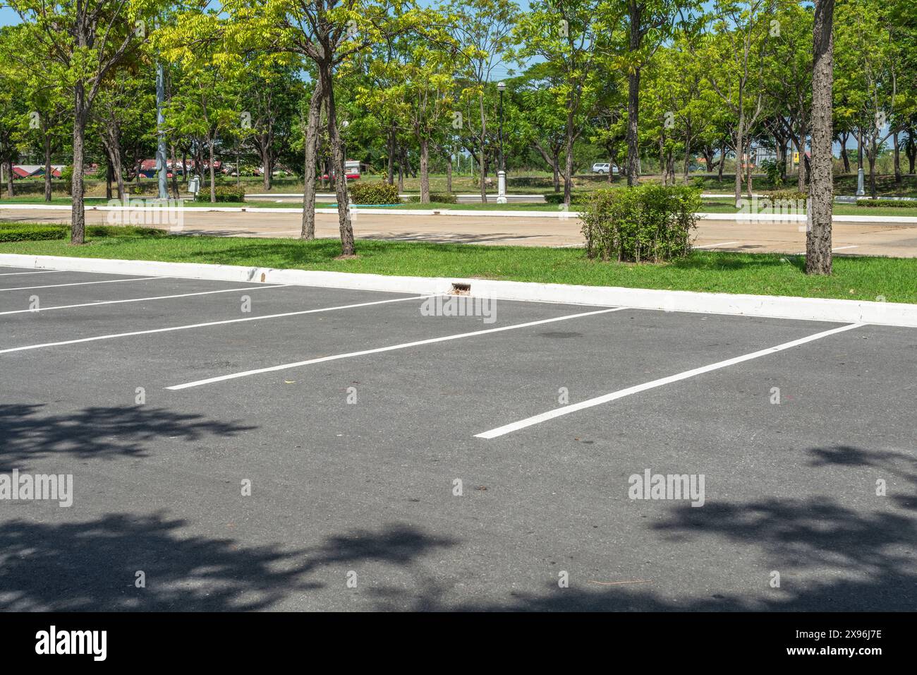 Empty parking lot with trees Stock Photo - Alamy