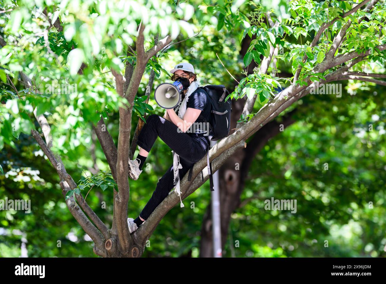 29.05.2024, Wien, AUT, Polizei löst ein neues Palästina Camp vor der TU ...