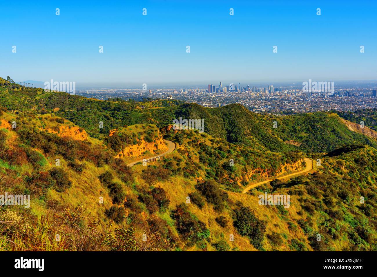 Mesmerizing symmetry of Griffith Park's winding trails against the ...