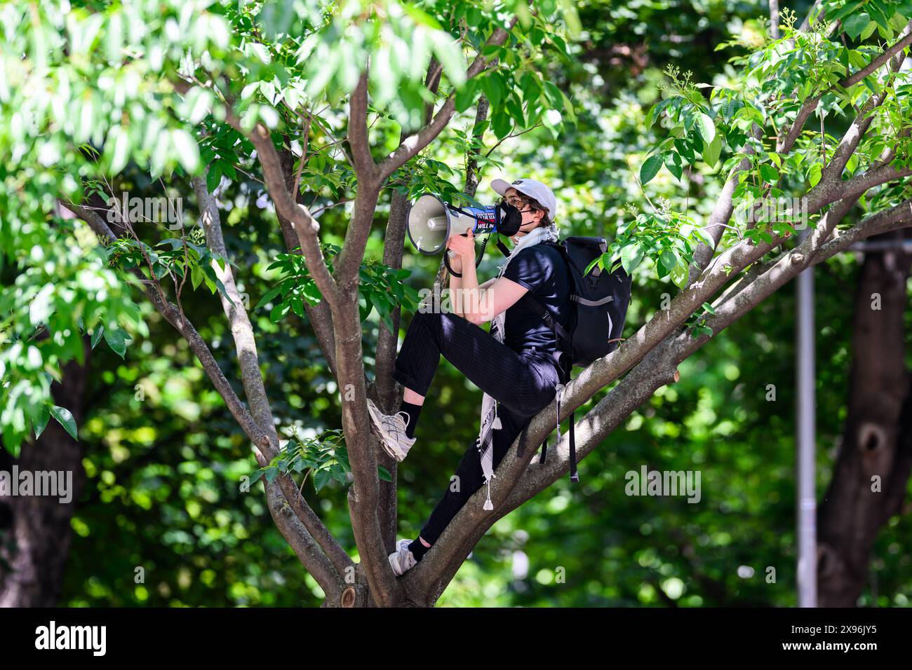 29.05.2024, Wien, AUT, Polizei löst ein neues Palästina Camp vor der TU ...