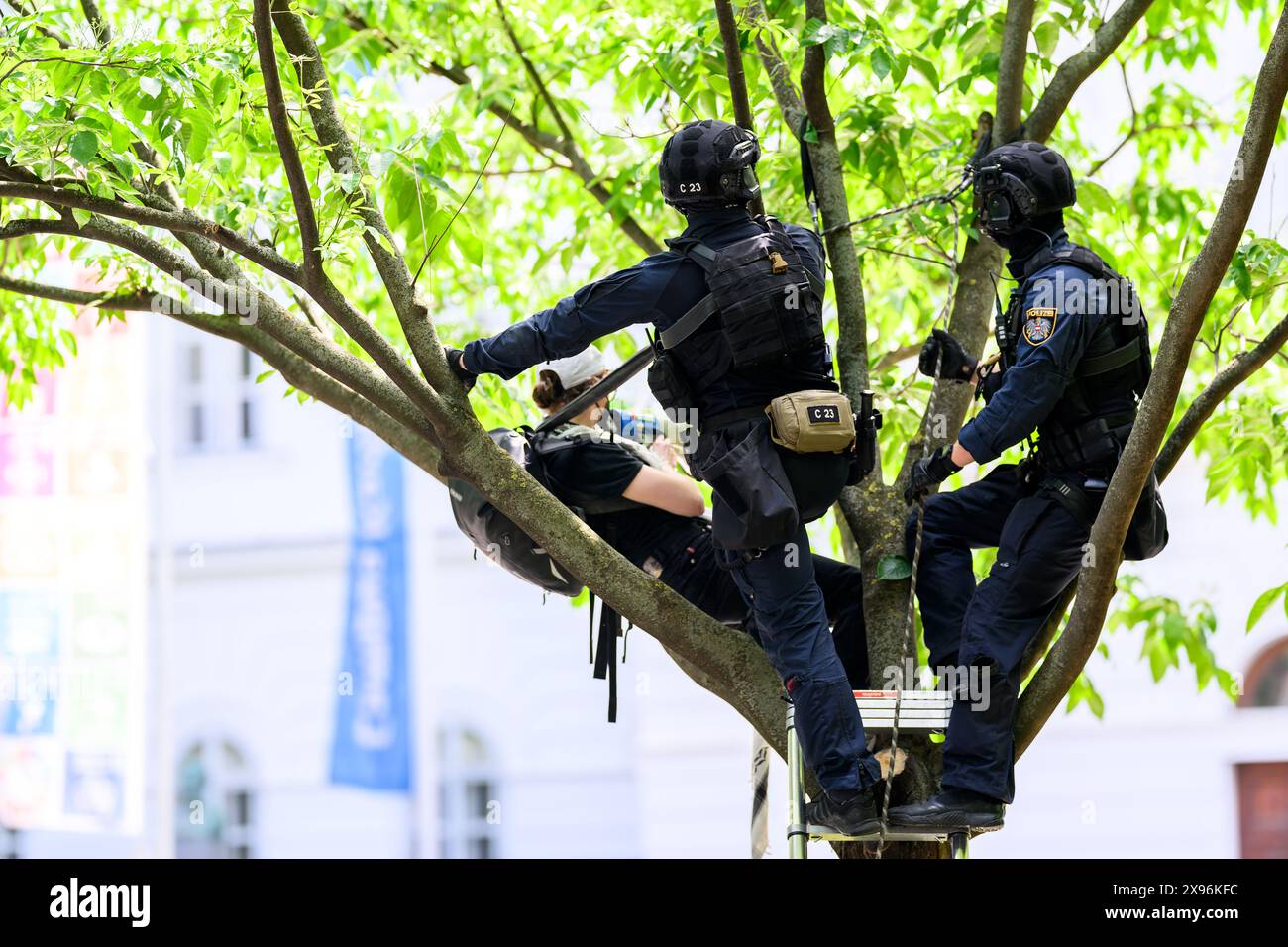 29.05.2024, Wien, AUT, Polizei löst ein neues Palästina Camp vor der TU ...