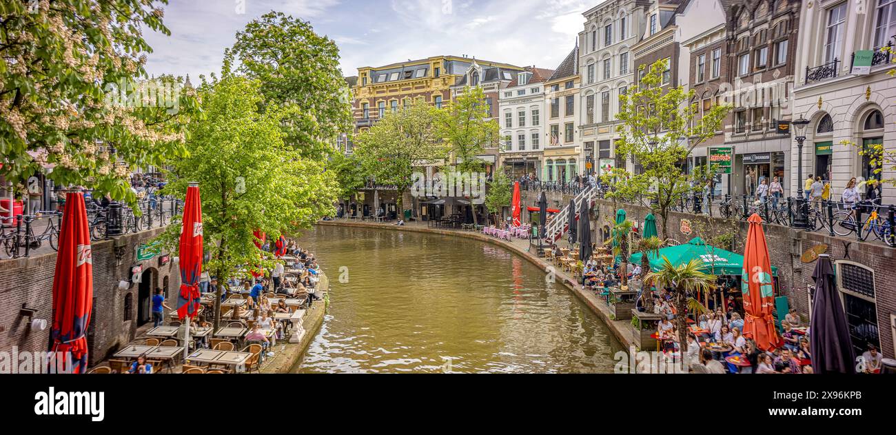 Dutch urban street scene development. Holland typical city lifestyle ...