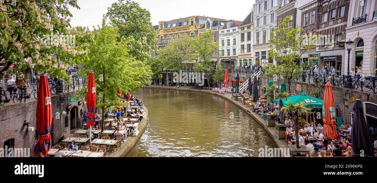 Dutch urban street scene development. Holland typical city lifestyle ...