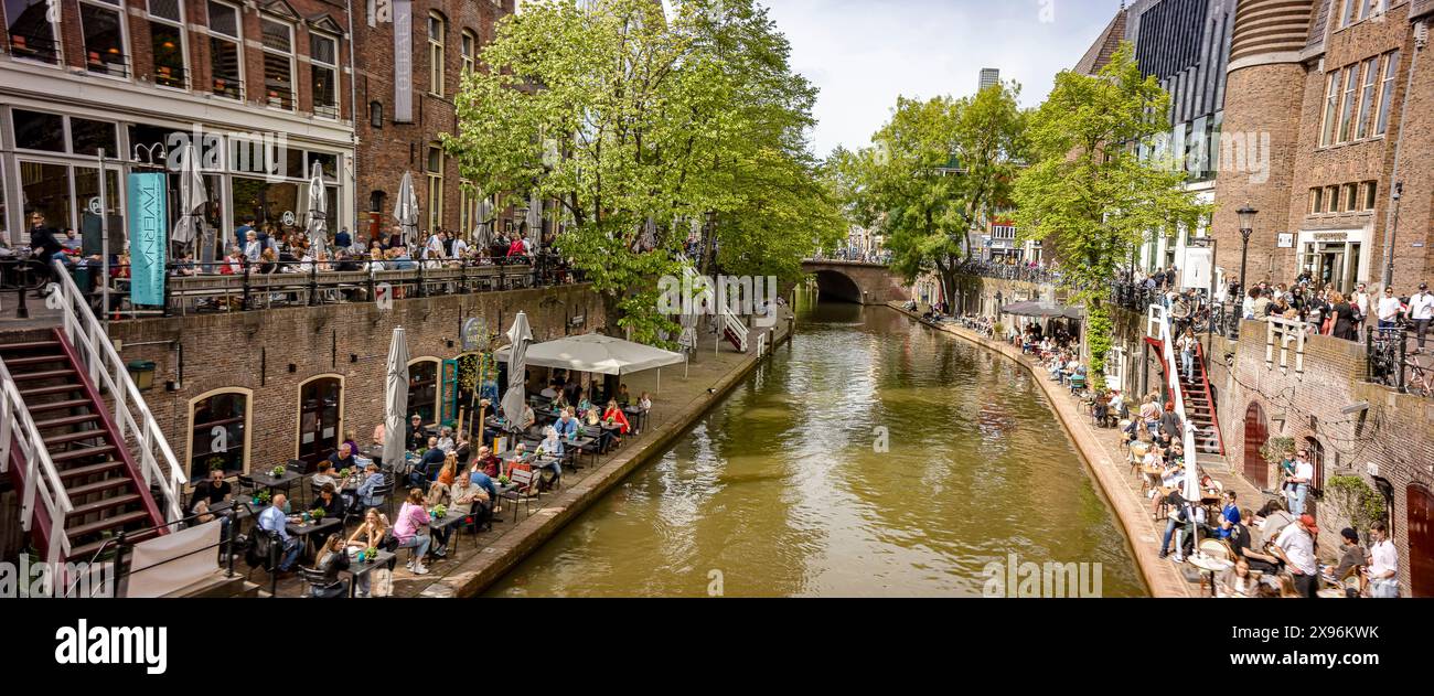 Dutch urban street scene development. Holland typical city lifestyle ...