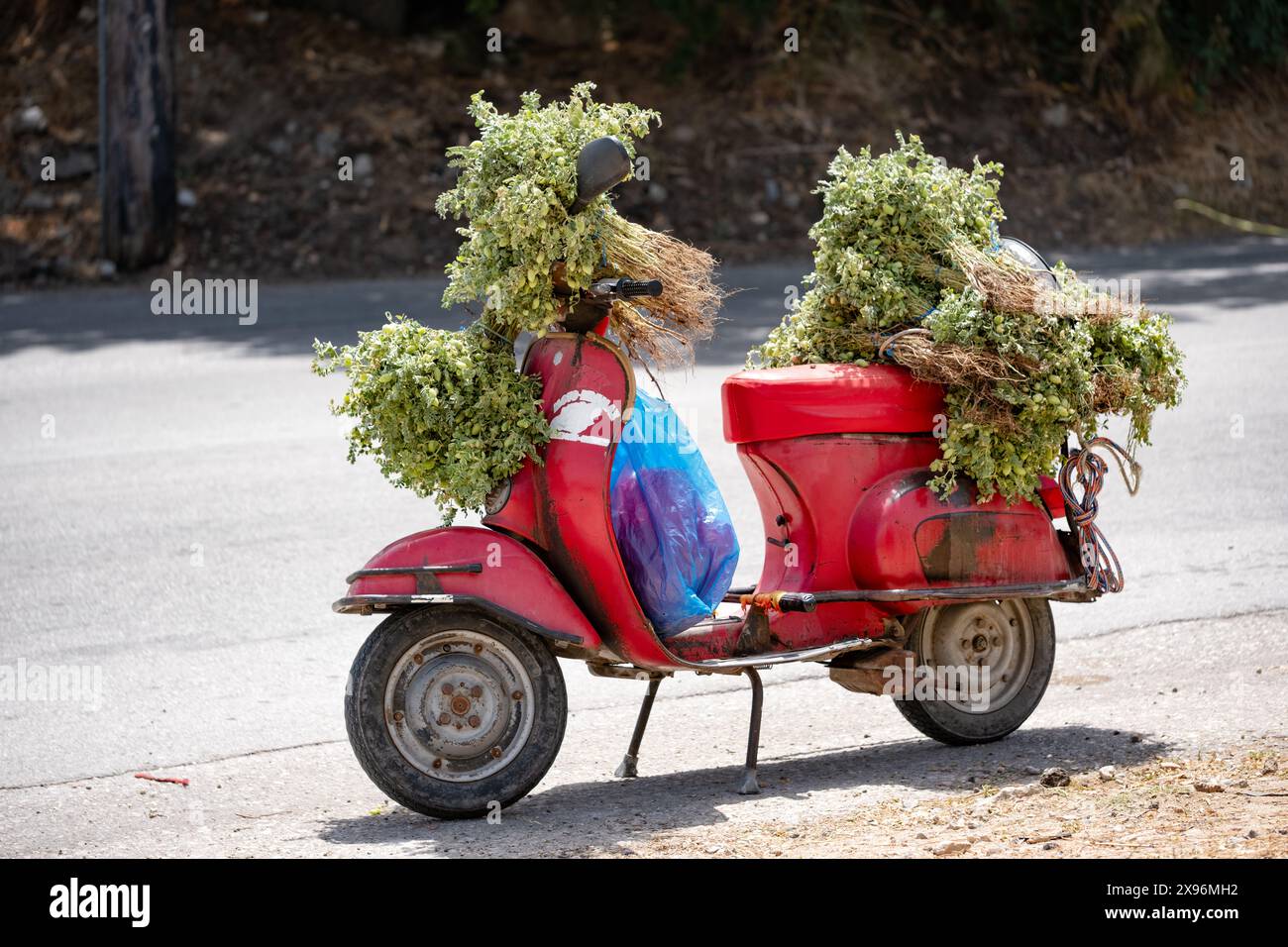 Rhodes, Greece. An old motor scooter loaded down with freshly cut ...