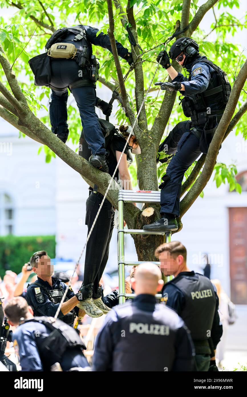 29.05.2024, Wien, AUT, Polizei löst ein neues Palästina Camp vor der TU ...