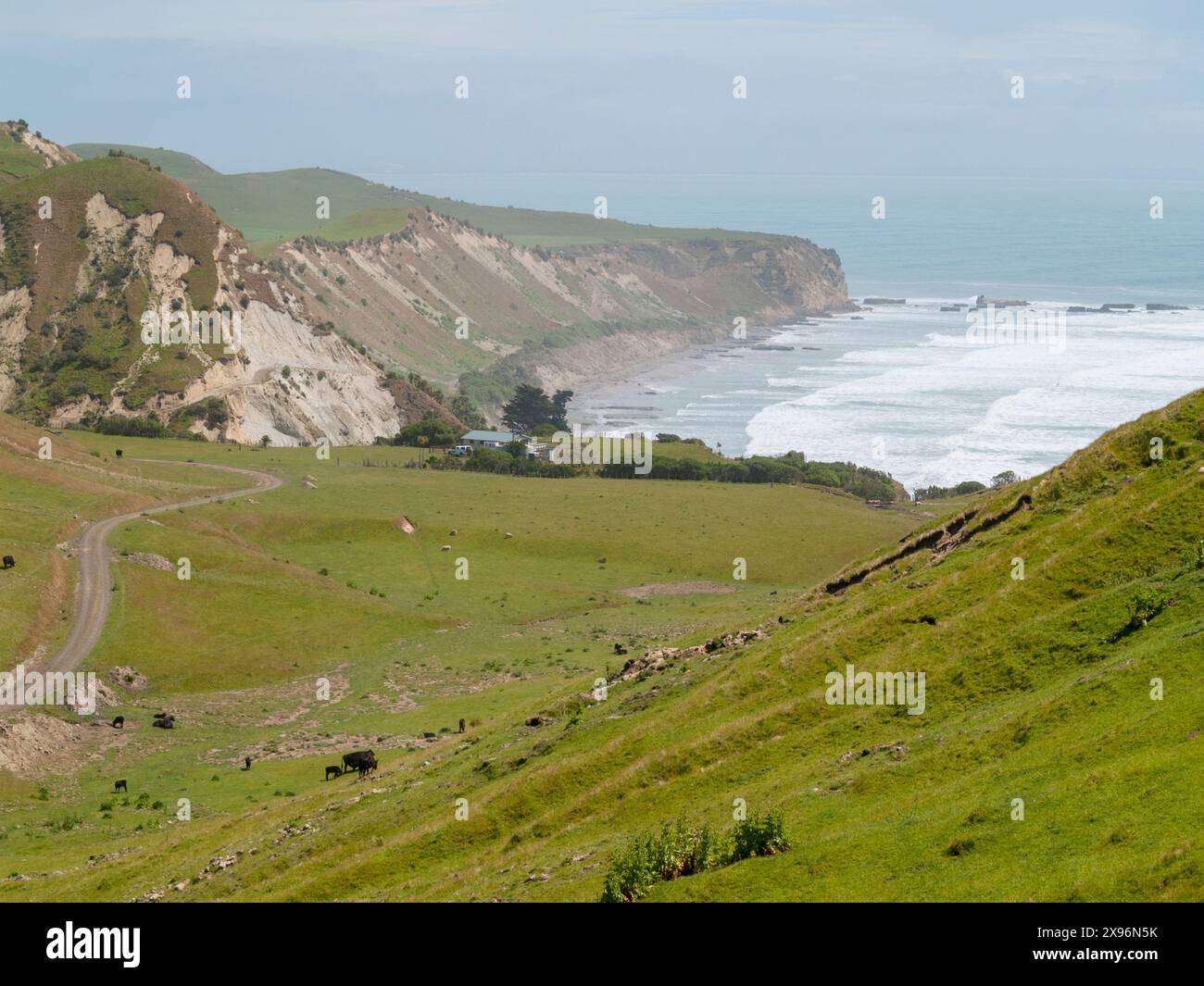 Valley between hills and cliffs hills leading to sea coastal rural New ...