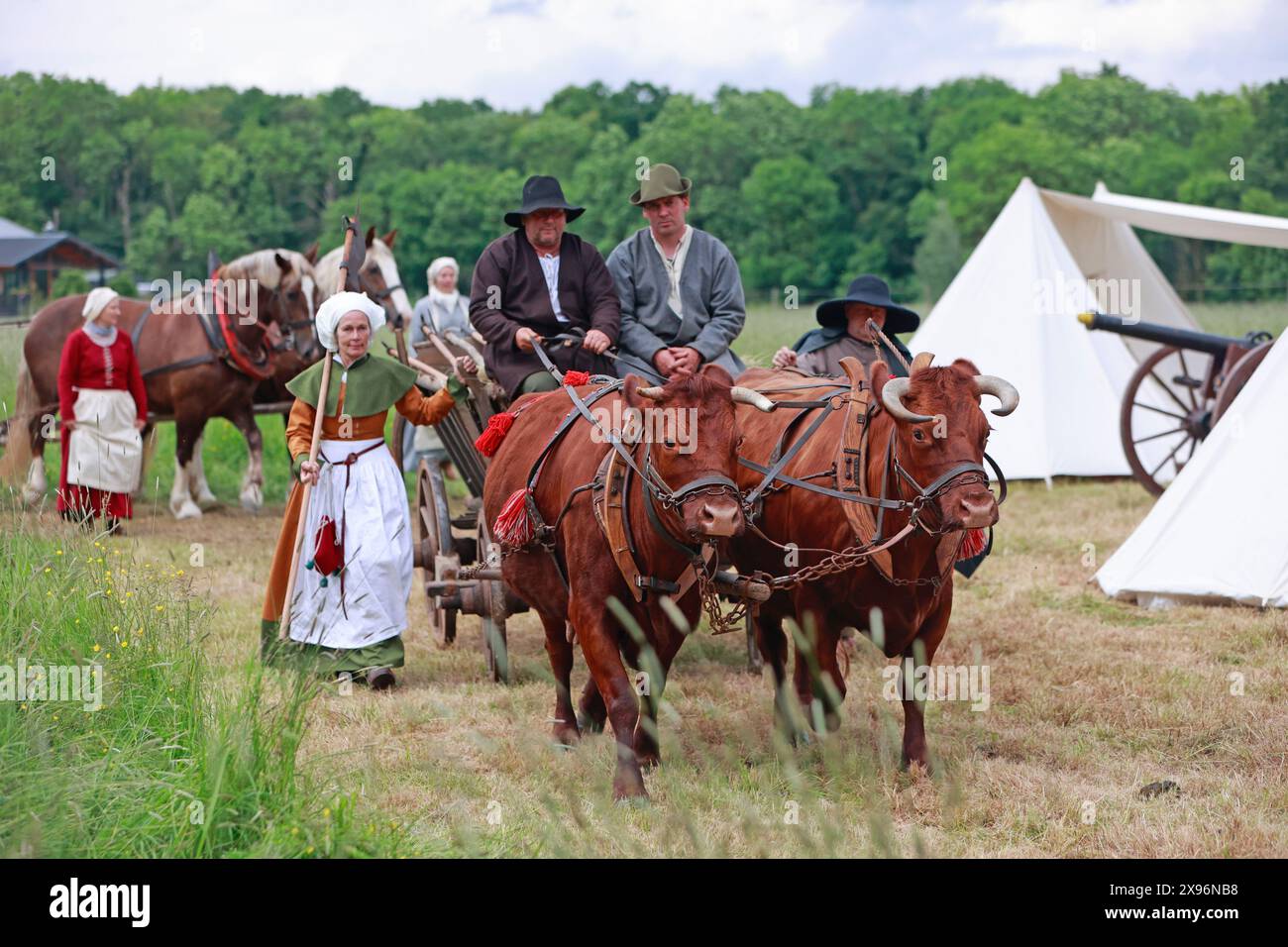 Sondershausen, Germany. 29th May, 2024. Actors dressed as peasants in a ...