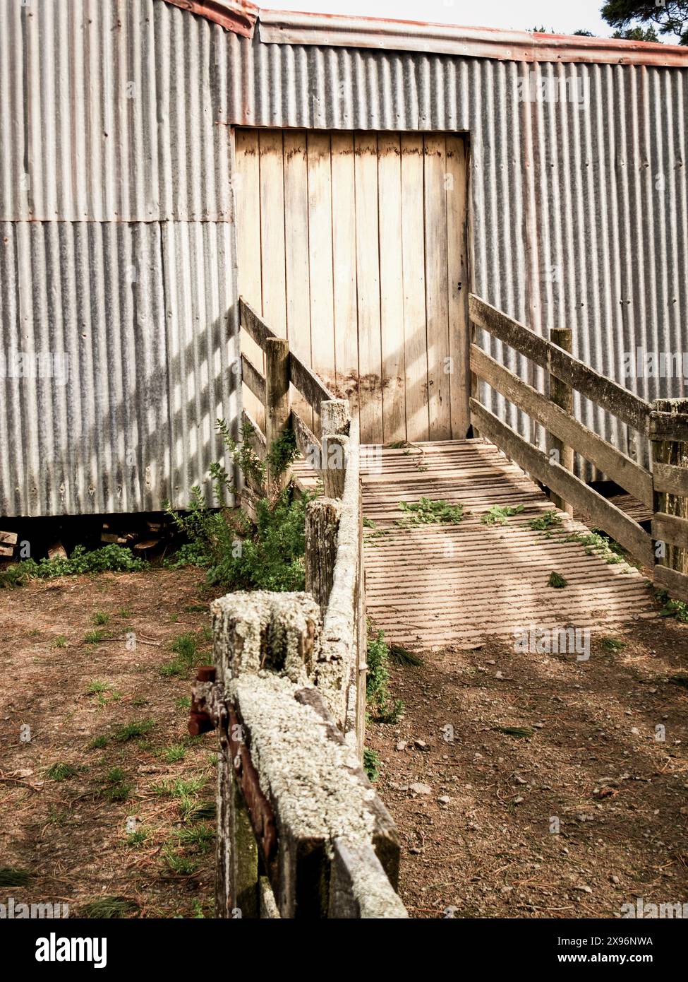 Shearing shed ramp hi-res stock photography and images - Alamy