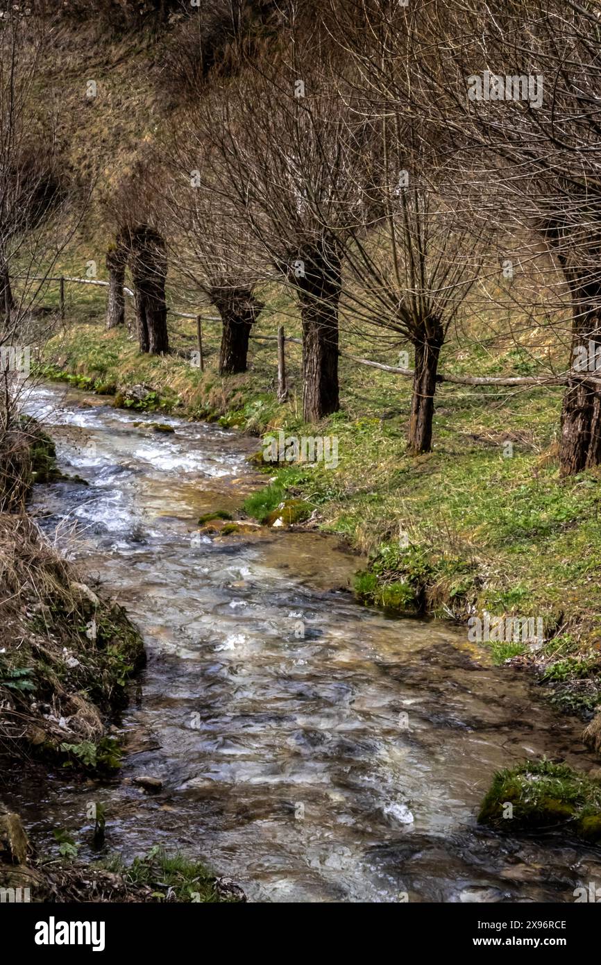 Mountain river in Romania Stock Photo - Alamy