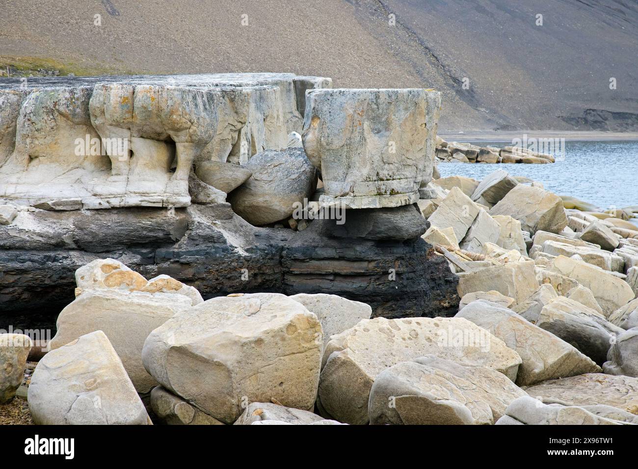Rock formations along the rocky coast of Boltodden in summer, Kvalvågen ...