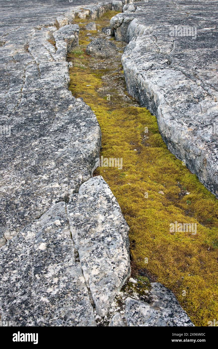 Huge crack / cleft / fissure in rock along the rocky coast of Boltodden ...