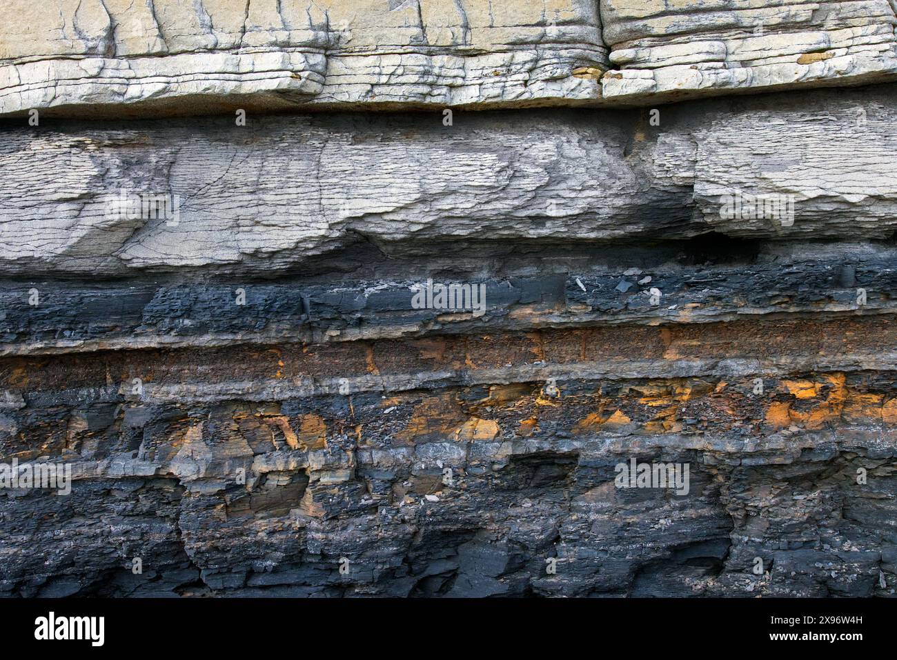 Sedimentary rock layers along the rocky coast of Boltodden in summer ...