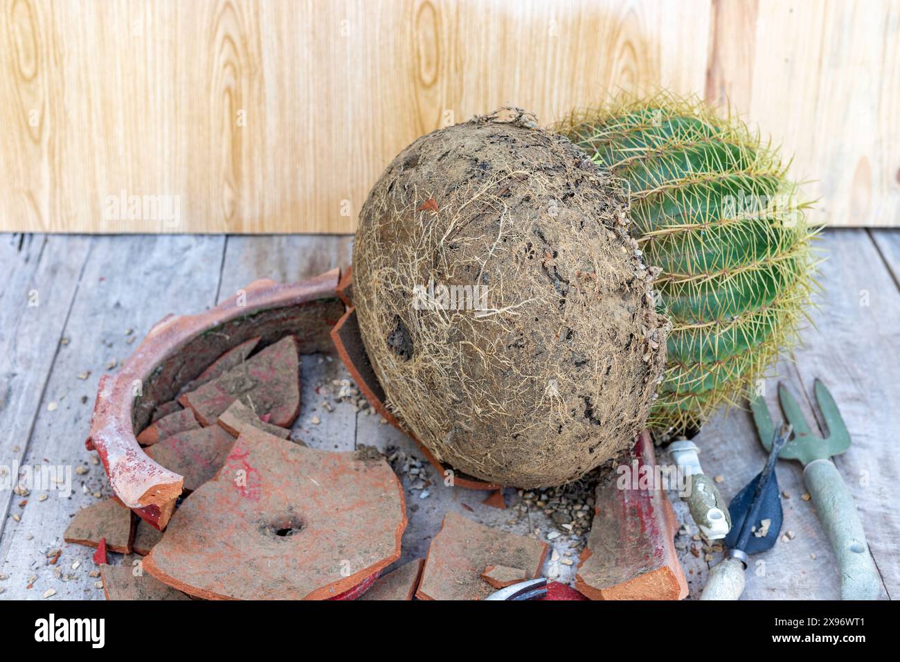 Broken pot garden hi-res stock photography and images - Alamy
