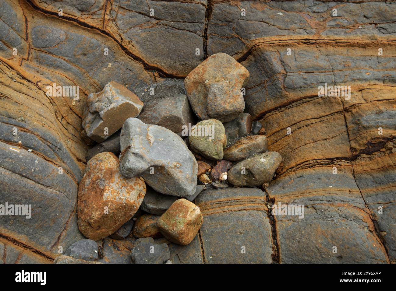 Australia, Tasmania, Eaglehwk Neck, Forestier Peninsula, Tessellated ...
