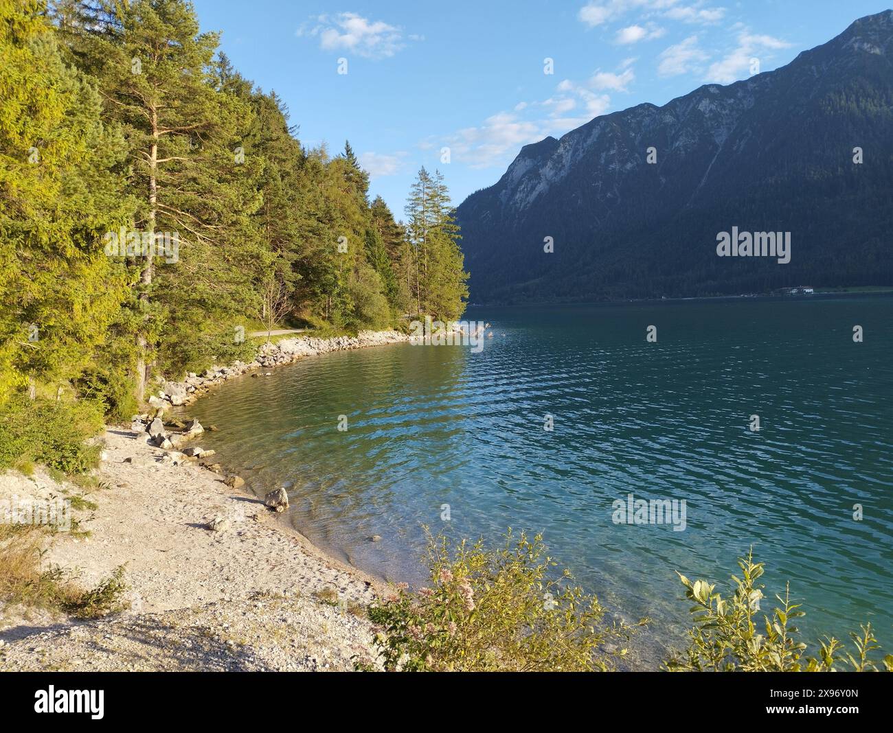 Shore of beautiful turquoise blue Achensee, Achen lake surrounded by ...