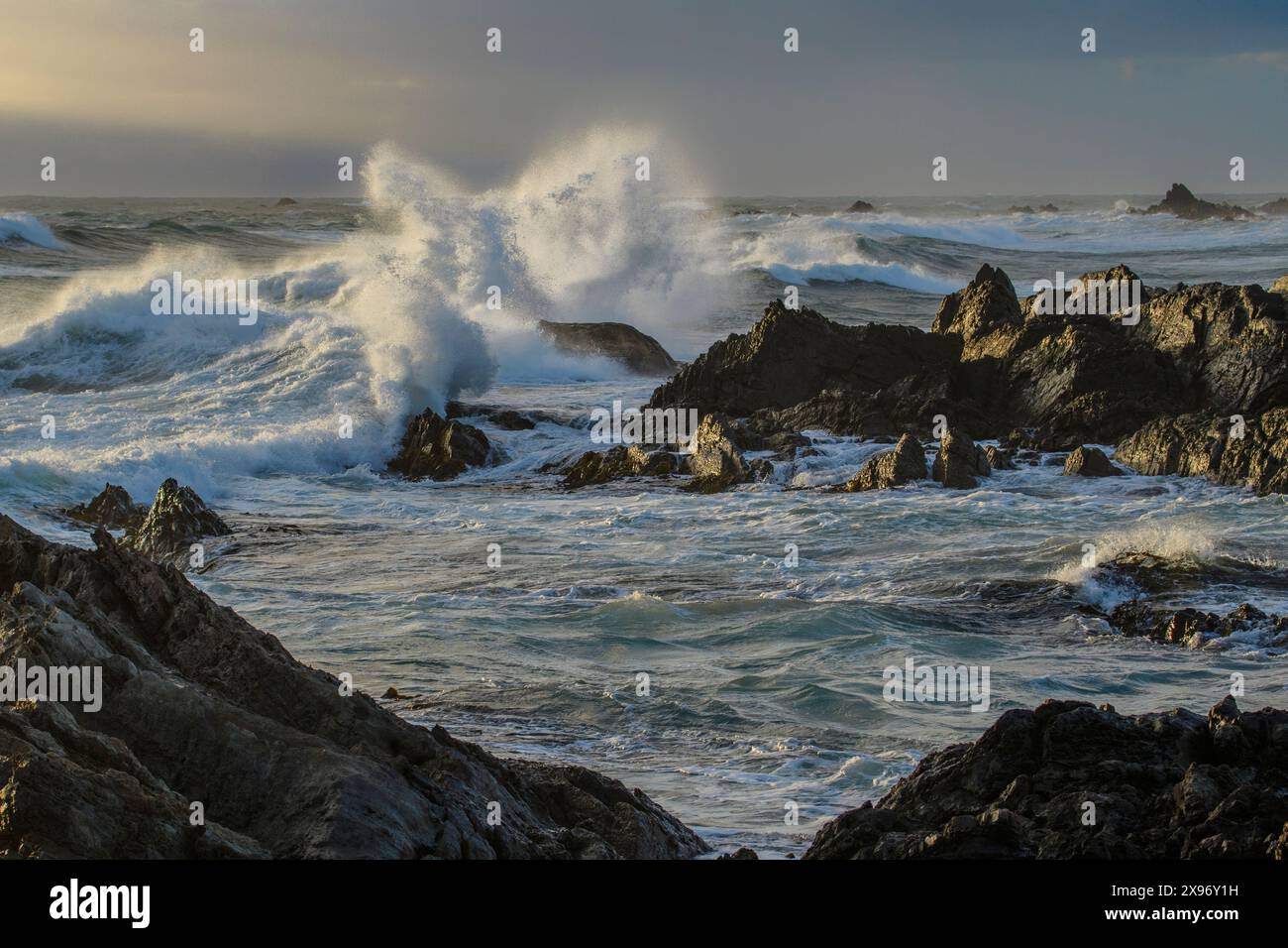 Australia, Tasmania, West Coast, Tarkine, Sara Anne rocks Stock Photo ...