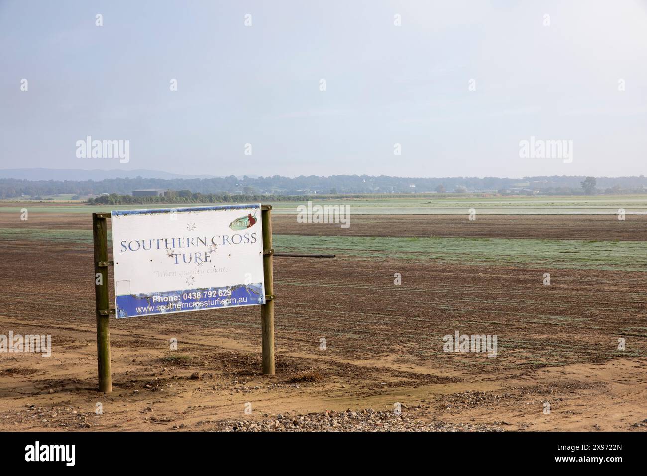 Australian turf farm, lawn grass turf growing on a turf farm in ...