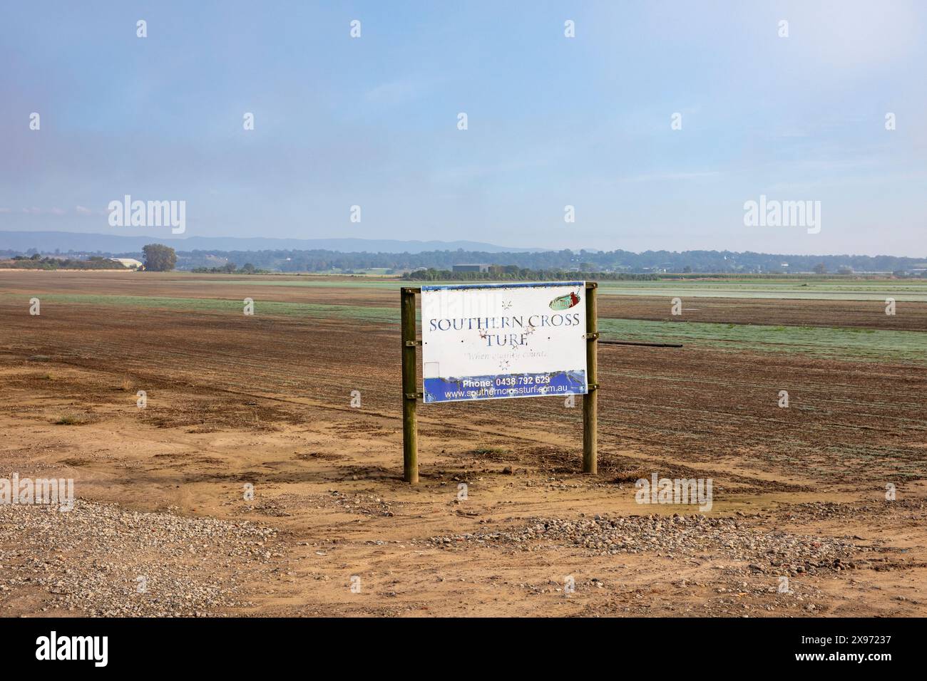 Australian turf farm, lawn grass turf growing on a turf farm in ...